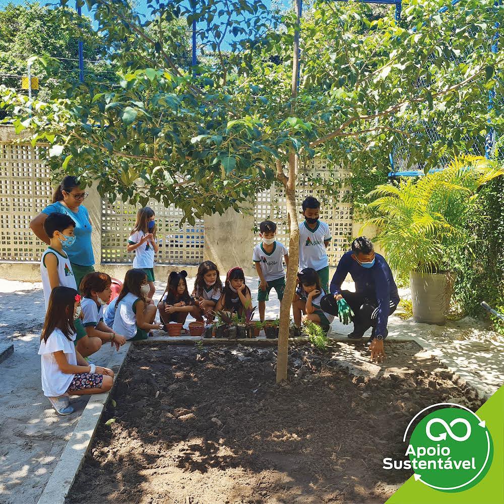 Jardim vertical no Apoio Sustentável